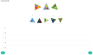 CAT4 Level D Year 7 Practice Test [+ Free Sample & PDF]