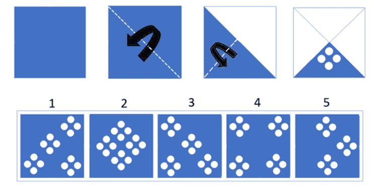 CAT4 Level E Year 8 Practice Test [+Free Sample Questions]